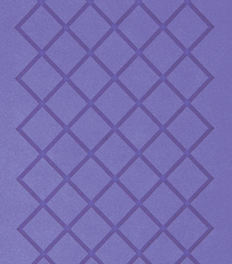 Plastic Pattern Perfect | Quilting Accessories | The Grace Company